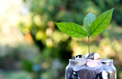 Small Businesses Offered £2m Sustainability Pot