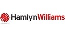 Young Entrepreneur of the Year Finalist 2013: Hamlyn Williams ...
